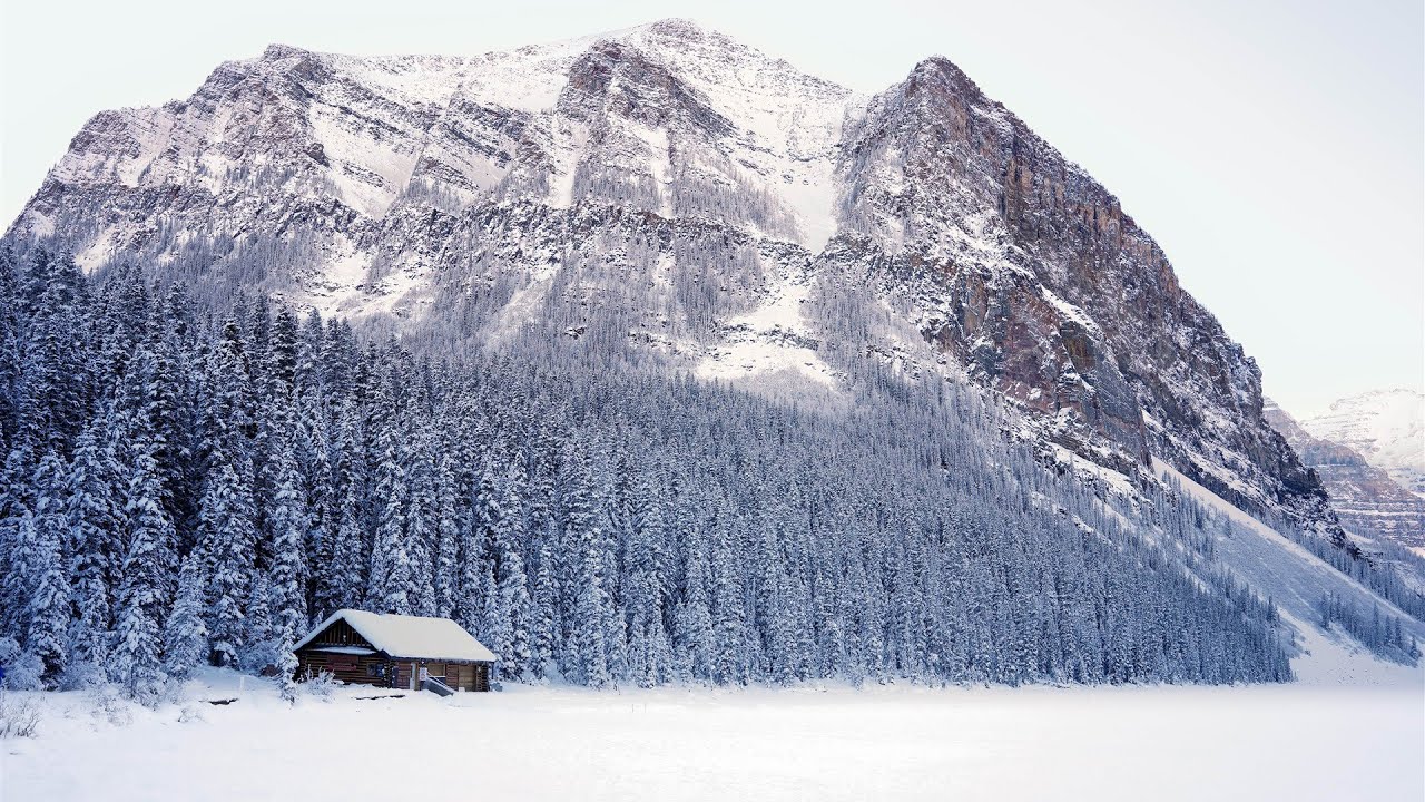 sveiks [yvQ3zuNqnHk] - OnlyJuris.com